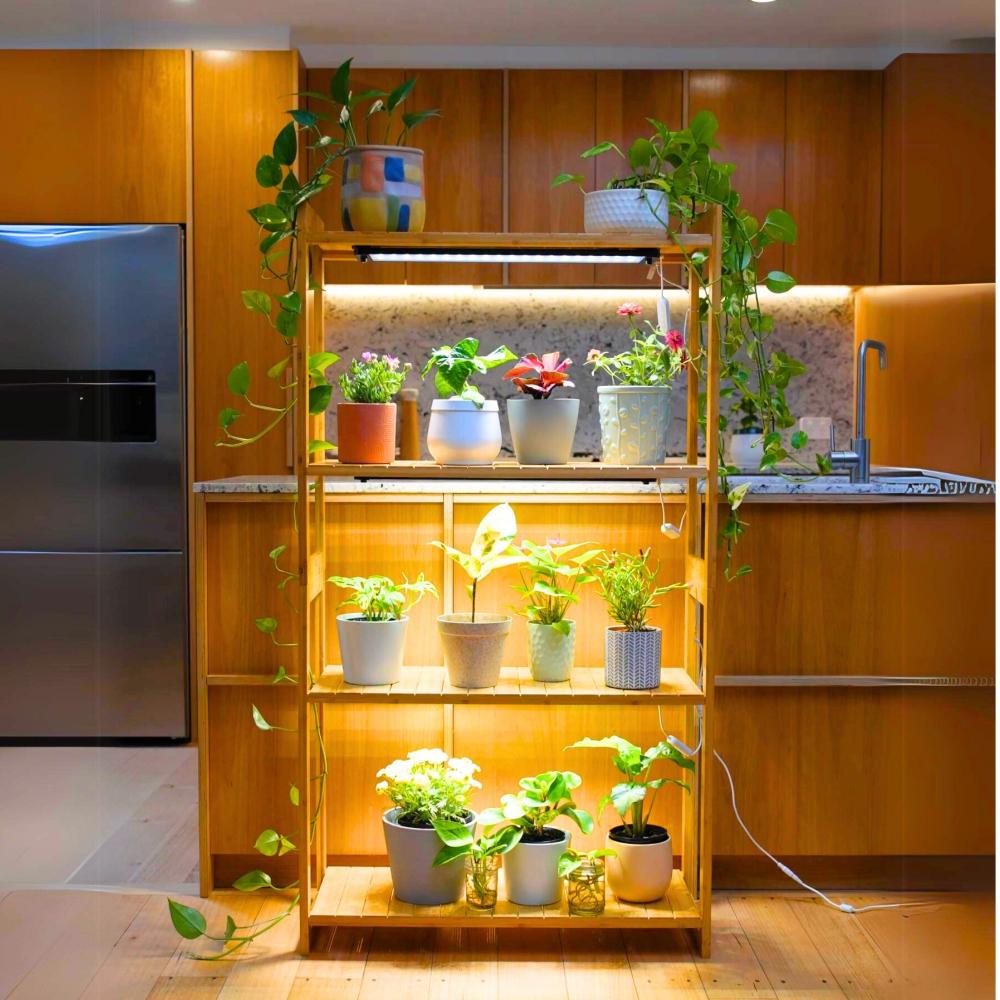 Sun Shelf 3 | Indoor plant shelf with LED grow lights - gathera