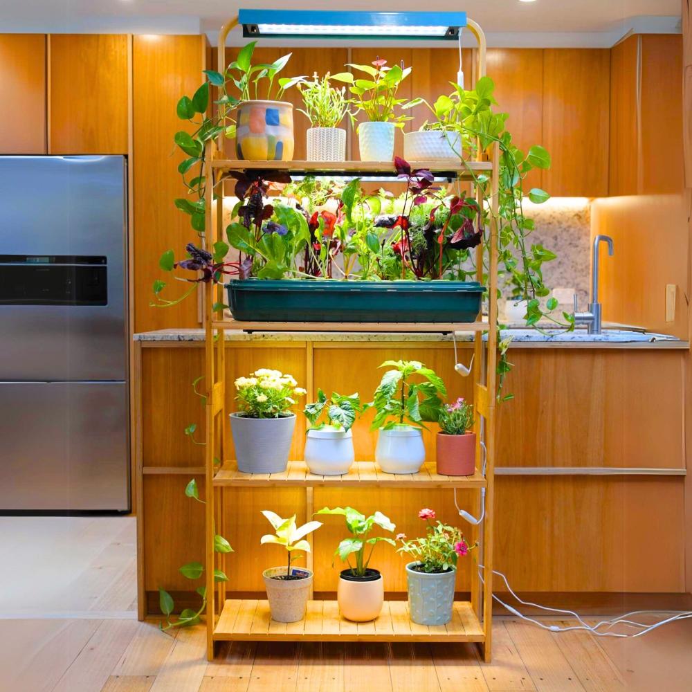 Sun Shelf 3 | Indoor plant shelf with LED grow lights - gathera