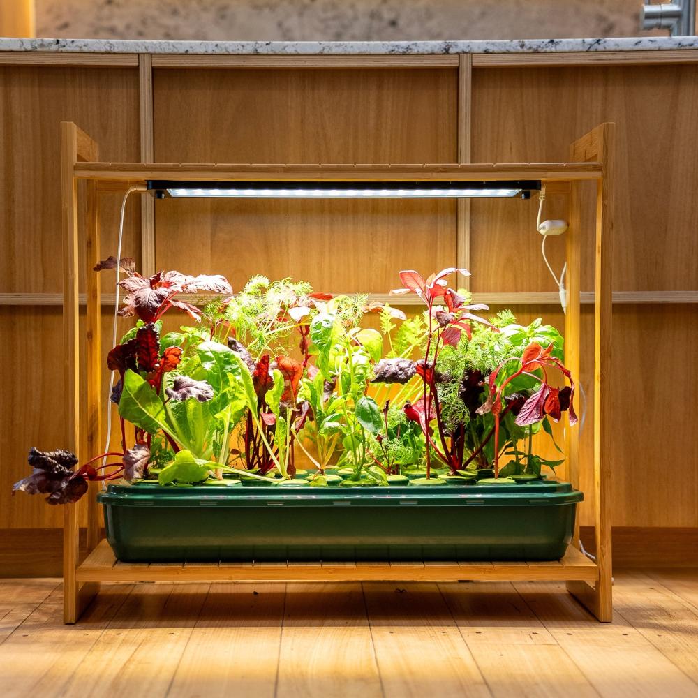 Sun Shelf 3 | Indoor plant shelf with LED grow lights - gathera
