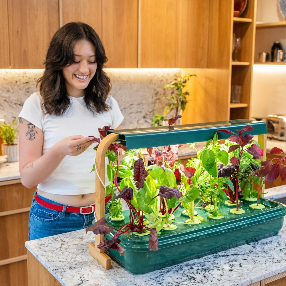 Sun Garden | The biggest indoor hydroponic garden - gathera