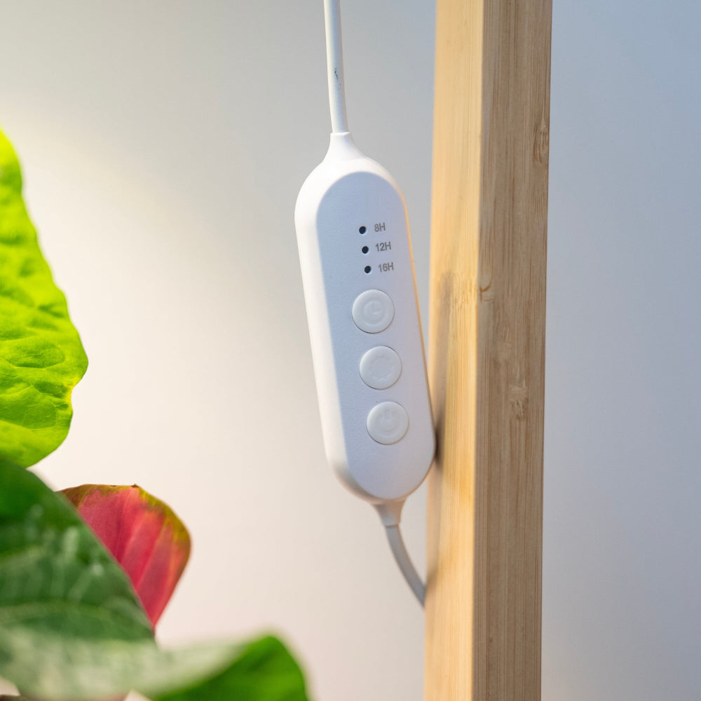 Sun Patch | Grow light for indoor plants and seedlings - gathera