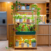 Sun Shelf | Modular Plant Shelf with Grow Lights - gathera