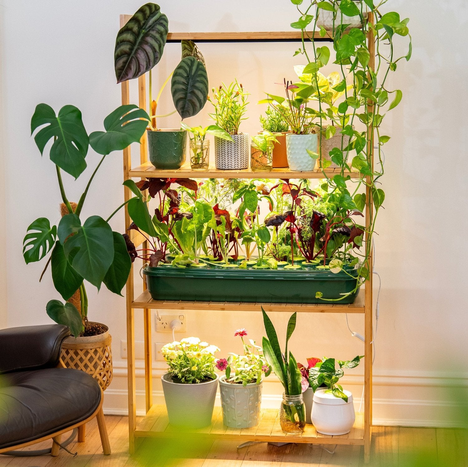 Sun Shelf 3 | Indoor plant shelf with LED grow lights - gathera