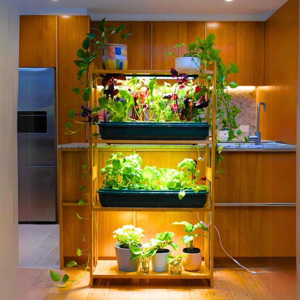 Sun Shelf 3 | Indoor plant shelf with LED grow lights - gathera