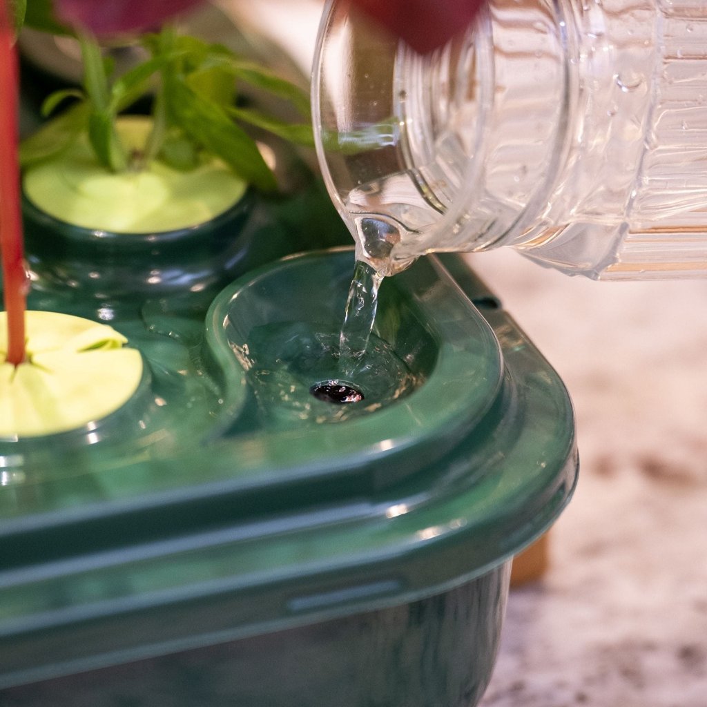 Sun Garden | The biggest indoor hydroponic garden - gathera