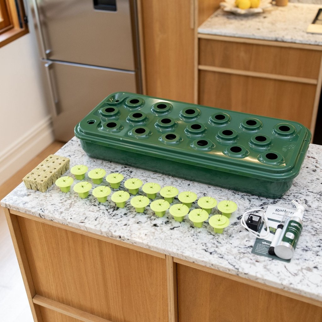 Heirloom Basin | The biggest hydroponic smart garden - gathera