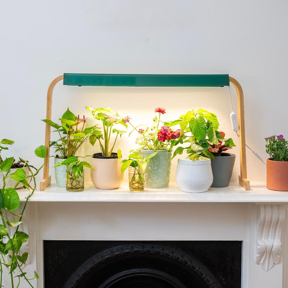 Sun Shelf | Modular Plant Shelf with Grow Lights - gathera