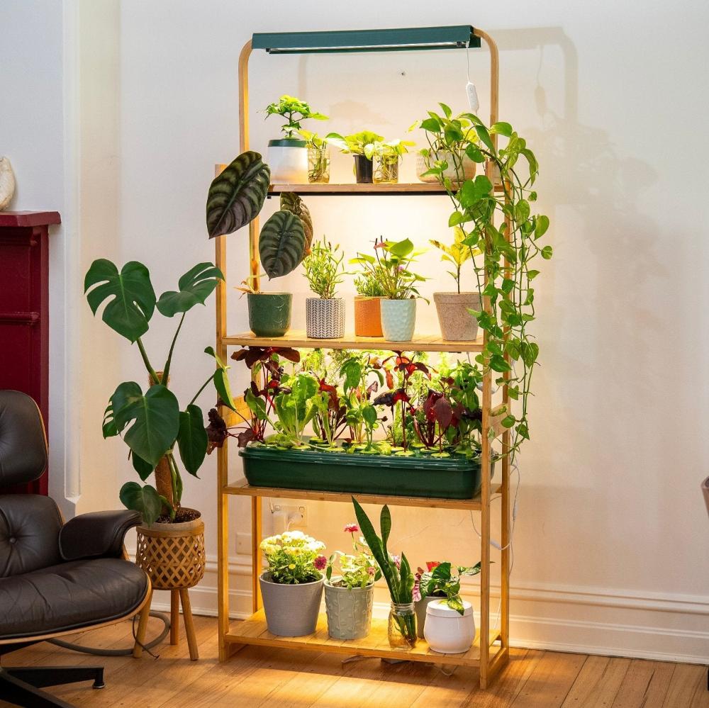 Sun Shelf 3 | Indoor plant shelf with LED grow lights - gathera
