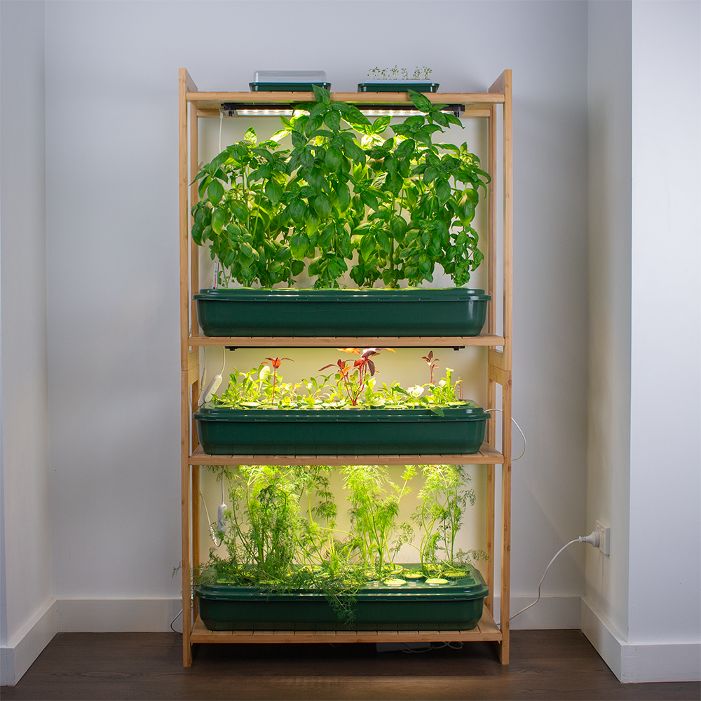 Sun Shelf 3 | Indoor plant shelf with LED grow lights - gathera