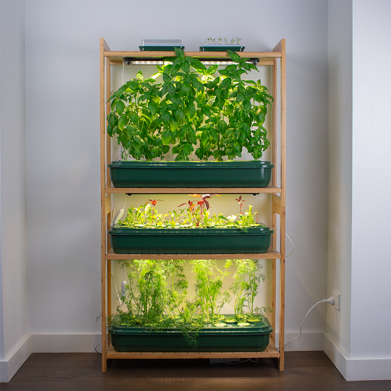 Sun Shelf | Modular Plant Shelf with Grow Lights - gathera