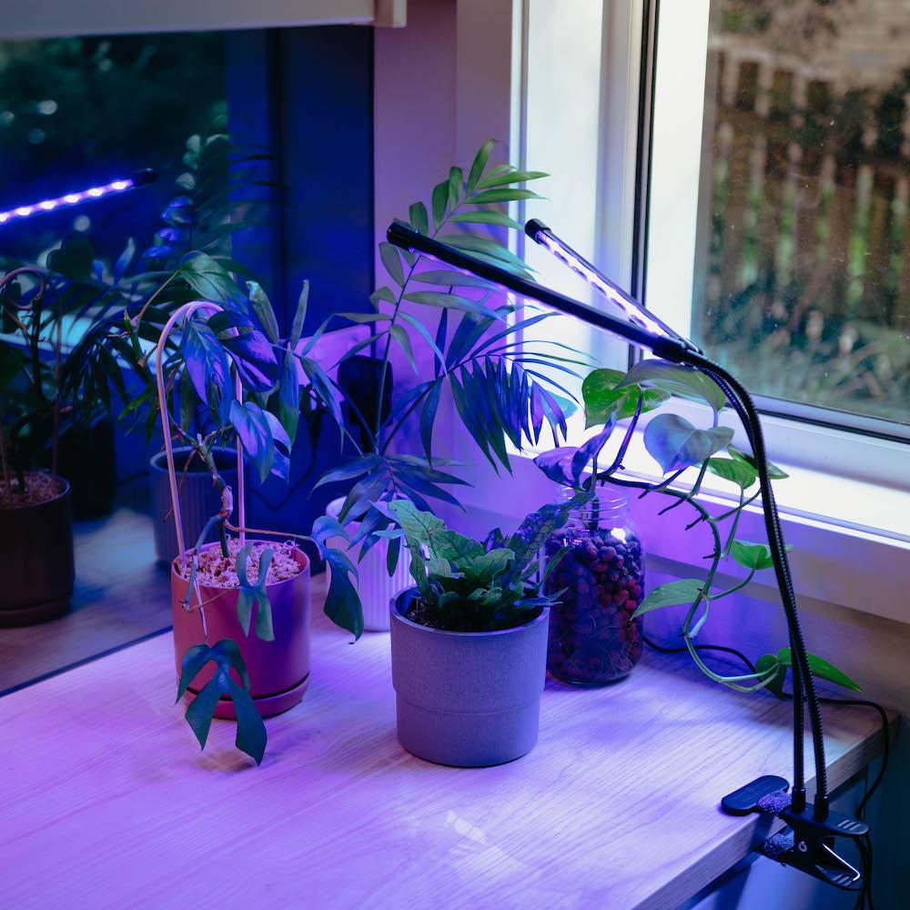 Red/Blue Grow Light | 3 Headed Gooseneck Grow Light - gathera