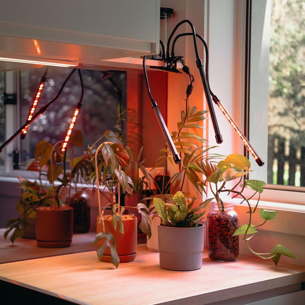 Red/Blue Grow Light | 3 Headed Gooseneck Grow Light - gathera