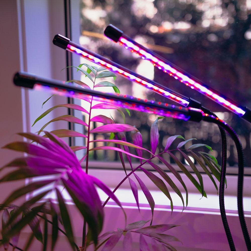 Red/Blue Grow Light | 3 Headed Gooseneck Grow Light - gathera